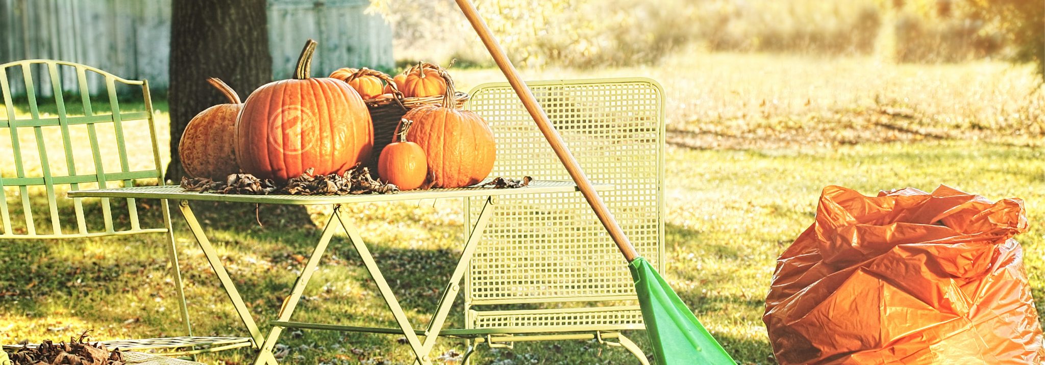 How To Prepare Your Home For Fall - Tidewater Mortgage Services Inc.